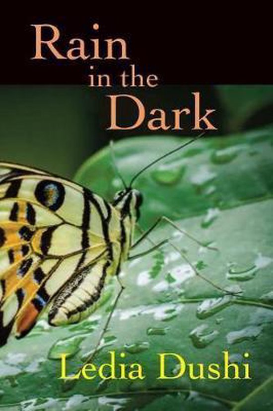 Rain in the Dark, Ledia Dushi | 9781946460110 | Boeken | bol.com