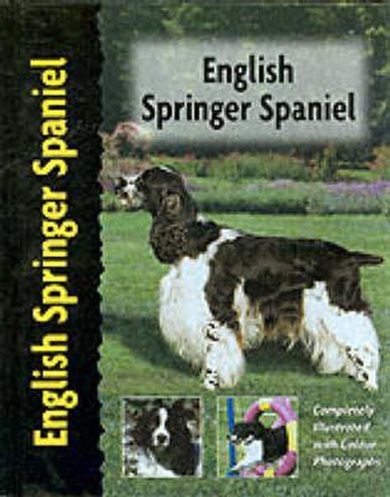 English Springer Spaniel, Haja Van Wessem | 9781902389264 | Boeken | bol.com