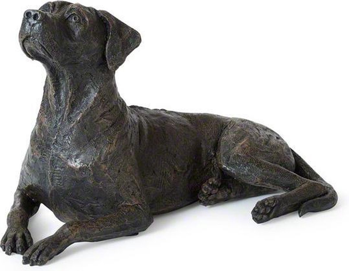 asbeeld urn Rhodesian Ridgeback hondenurn | bol