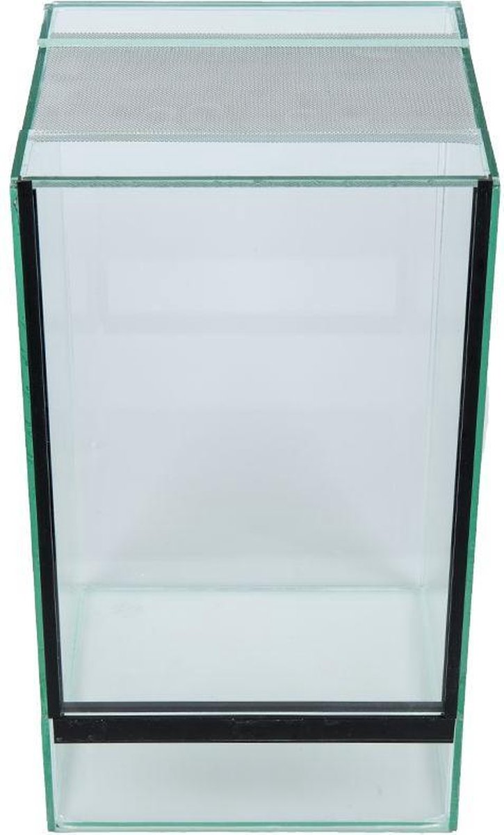 Insecten Terrarium | bol.com