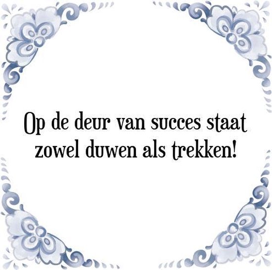 Tegeltje met Spreuk (Tegeltjeswijsheid): Op de deur van succes staat zowel duwen als... | bol
