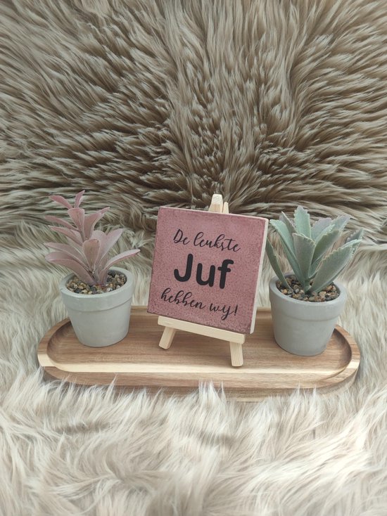 Robuust wenstegeltje met tekst - De leukste juf hebben wij! - juffen ...