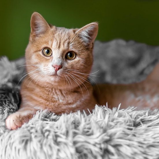 Kattenbed fluffy - kattenmand - geschikt voor katten - 1 stuk ...