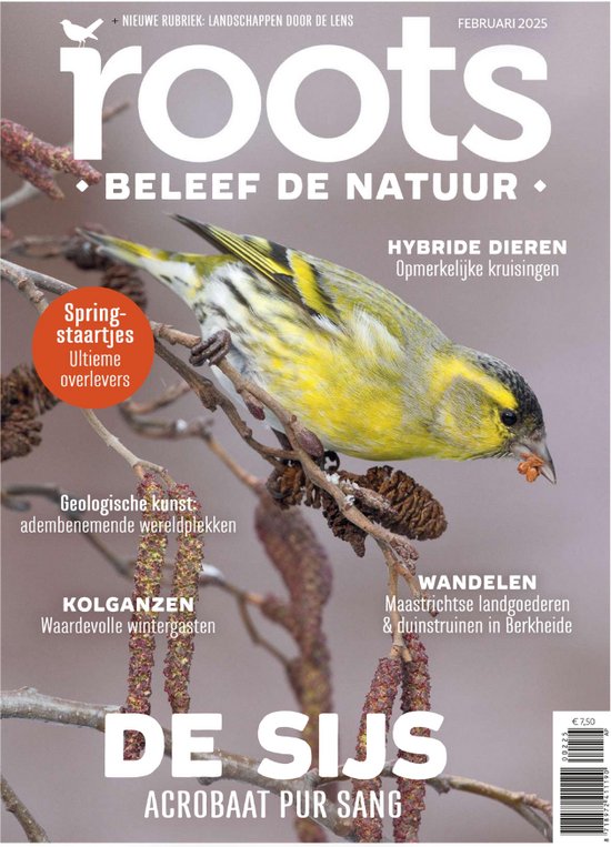 Roots 2025 editie 2 | bol