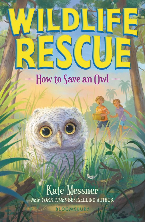 Wildlife Rescue - How to Save an Owl (ebook), Kate Messner ...