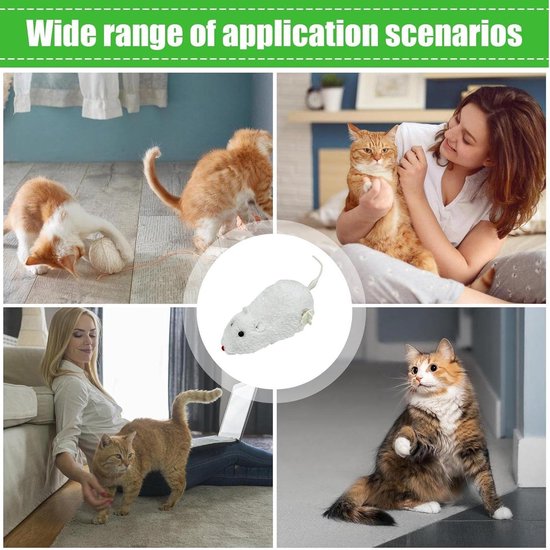 Interactive Indoor Hunting Cat Mice Toy - Wind up Mice Toy for Indoor ...