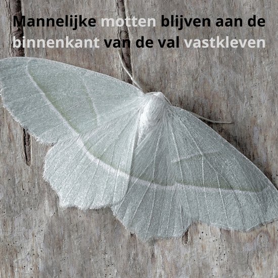 Aeroxon – Mottenval – Mottenval kledingmotten – Feromoonval - Motten ...