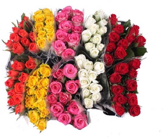 100x Rosa mix vast ammerlaan 50cm | bol
