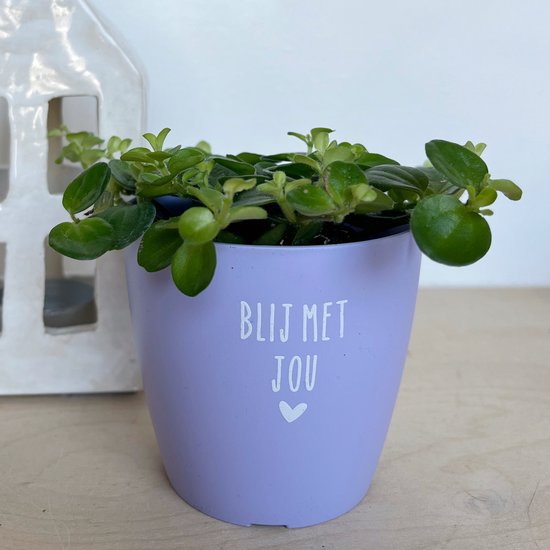 2 kleine bloempotjes met tekst - plastic - blij met jou - topper - lila ...