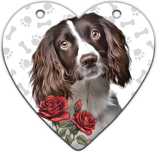 Spreukenbord - Hond: Engelse Springer Spaniel | English Springer ...