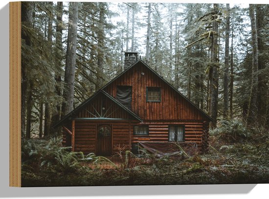 Hout - Houten Huisje in het Bos - 40x30 cm - 9 mm dik - Foto op Hout ...