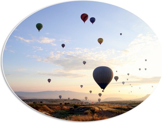 WallClassics - PVC Schuimplaat Ovaal - Zee van Verschillende Kleuren ...