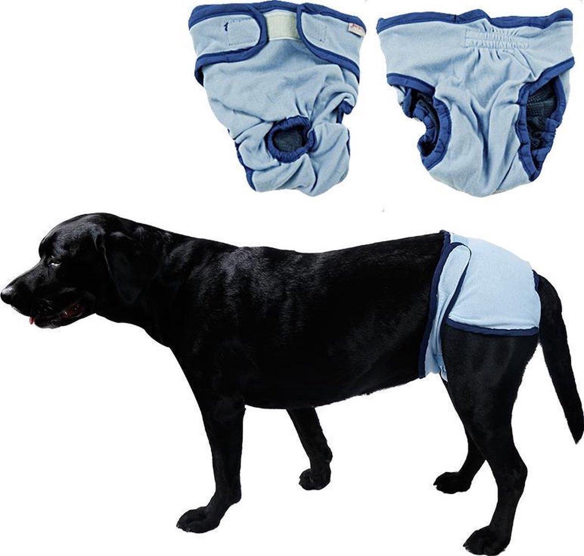 Luier voor hond voor incontinentie en loopsheid - Teef - maat M - blauw ...