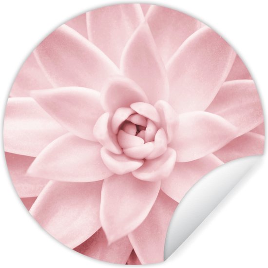 WallCircle - Muurstickers - Behangcirkel - Bloem - Roze - Natuur - Plant - 80x80 cm -... | bol