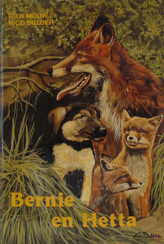 Bernie En Hetta 1, Rien Mouw | 9789033630101 | Boeken | bol