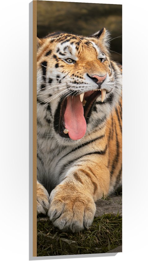 Hout - Siberische Tijger met Open Bek en Grote Hoektanden - 40x120 cm ...