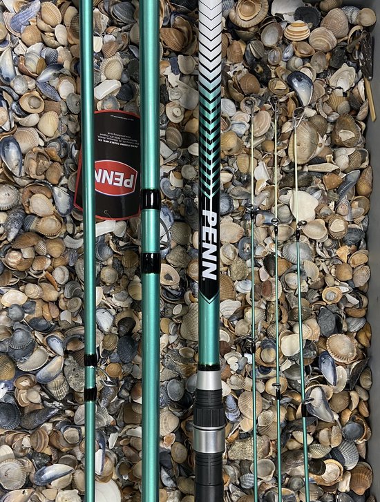 Penn Tidel Light Surf Multi-tip Spinning Rod 423 cm | bol.com