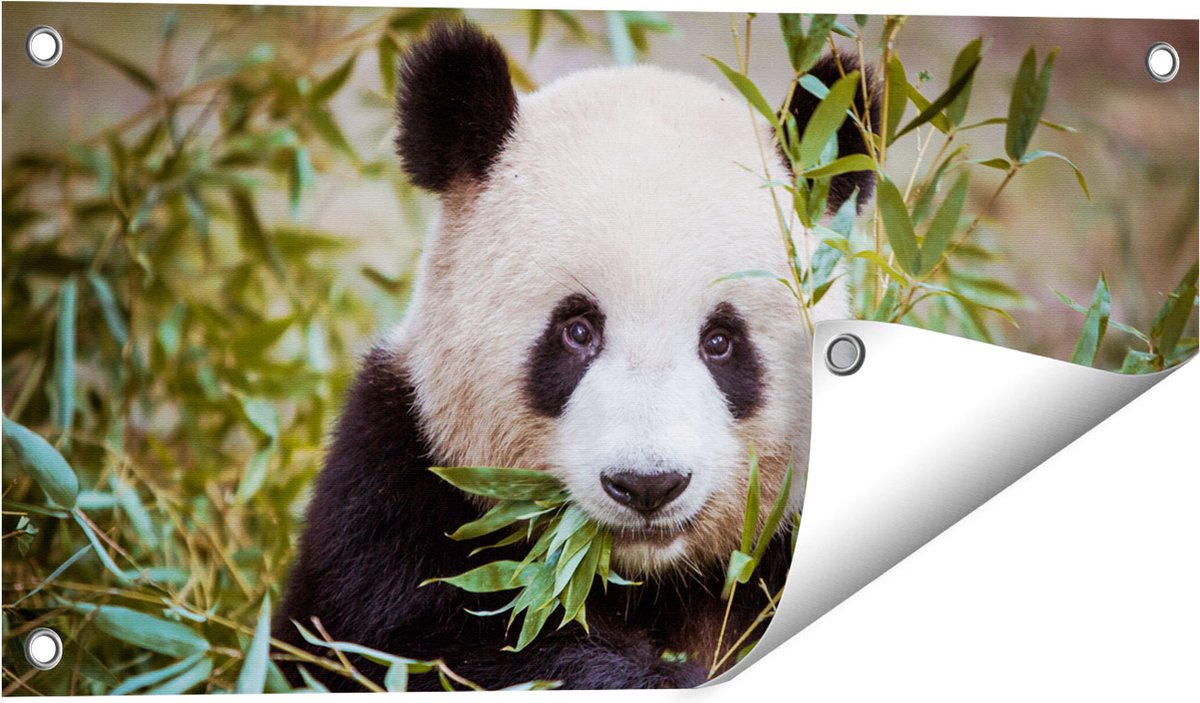 Gards Tuinposter Panda Eet Planten - 60x30 cm - Tuindoek ...