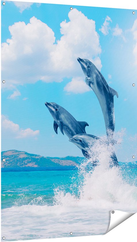 Gards Tuinposter Dolfijnen Springen uit het Water - 100x150 cm ...