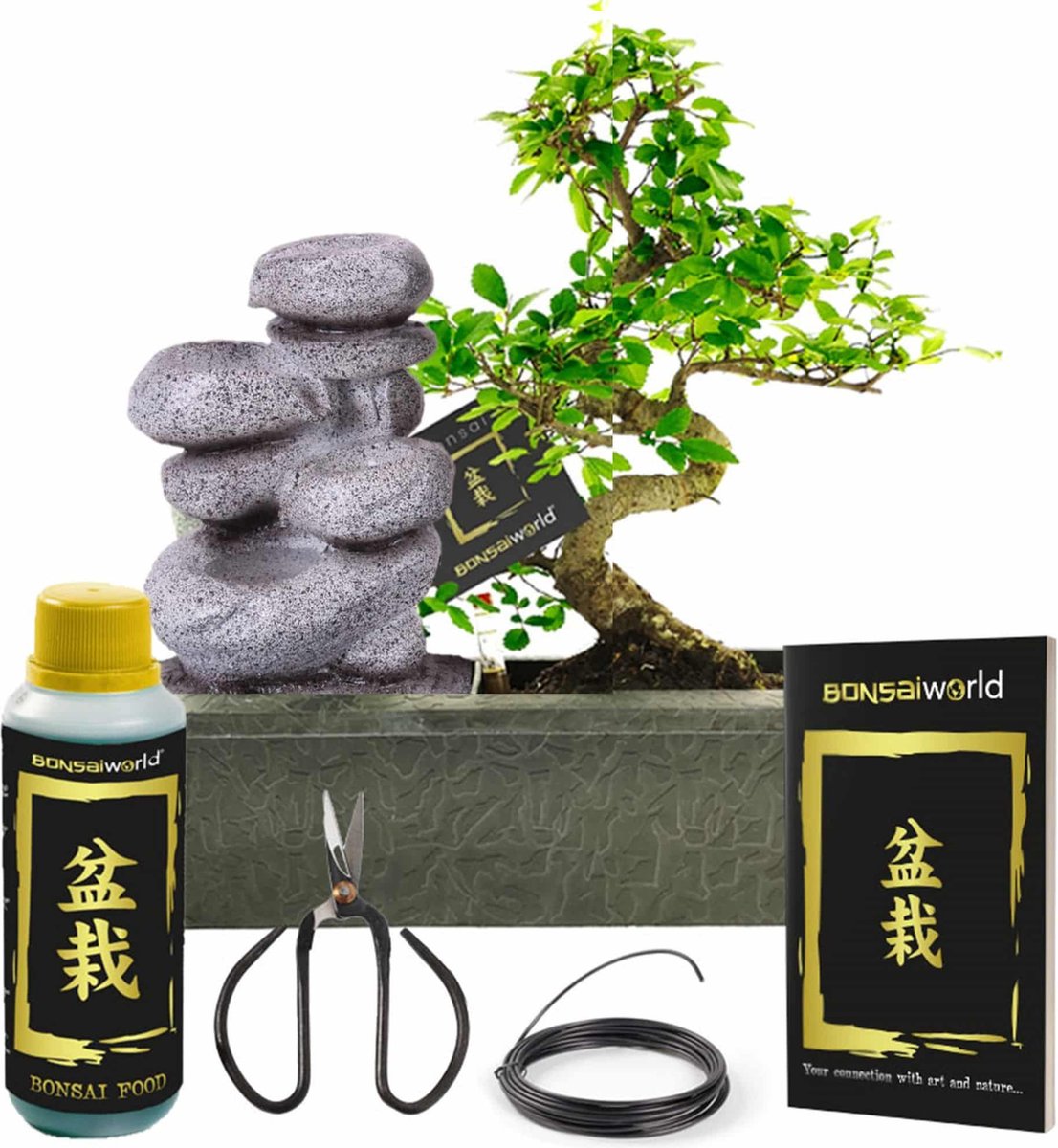 Bonsaiworld Bonsai boompje - Zen Waterval Set + Bonsai Starters Kit ...