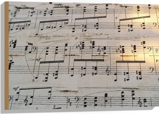 Hout - Muziek Notenblad - 75x50 cm - 9 mm dik - Foto op Hout (Met ...