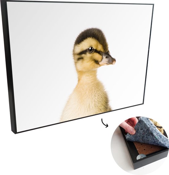 Eend - Geel - Dieren - Natuur | bol.com