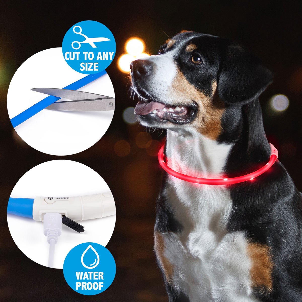 Lichtgevende halsband voor honden (led), in verschillende kleuren | bol.com