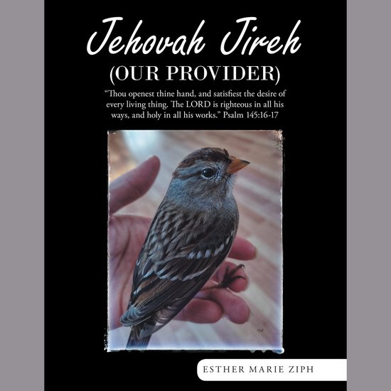 Jehovah Jireh (Our Provider), Esther Marie Ziph | 9781664273245 ...