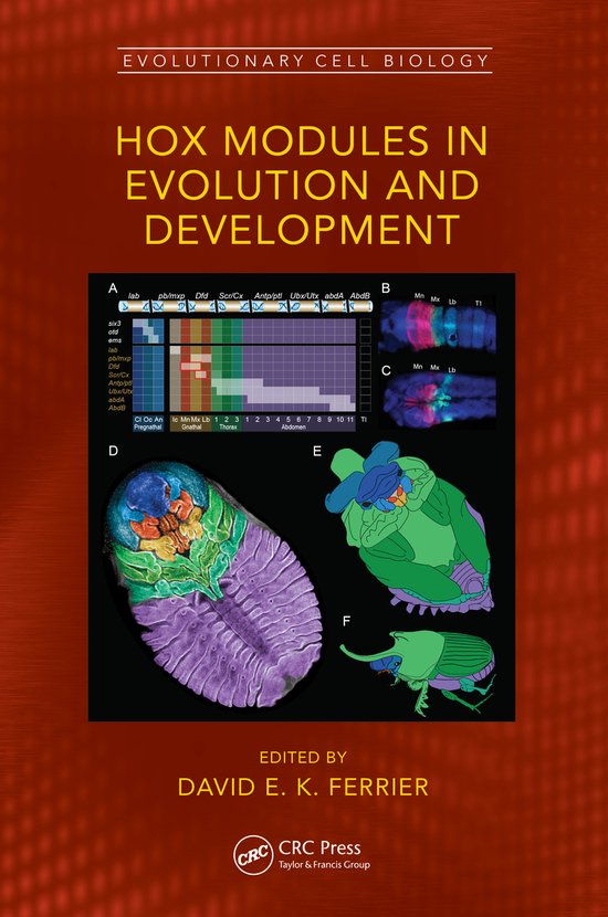 Evolutionary Cell Biology- Hox Modules in Evolution and Development ...