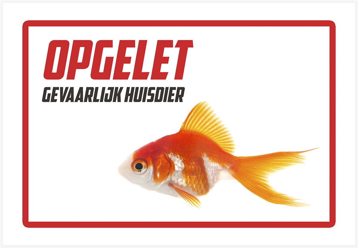 Bord | Waakbord | "Opgelet, gevaarlijk huisdier" | 30 x 20 cm | Goudvis ...