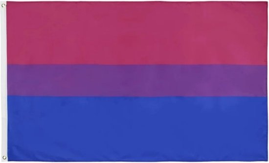 Biseksuele LGBT Pride Vlag 90x150CM | bol