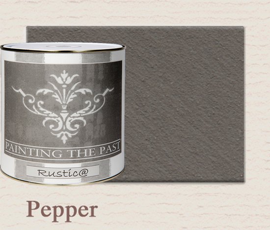 Painting the Past Proefpotje Rustica Pepper (R102) 60 mL | bol