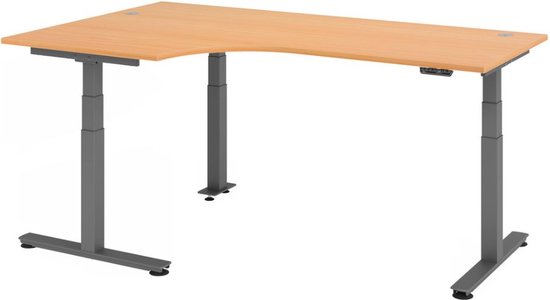 XDSM 82 G | Bureau - Beuken 200 x 120 Tafelhoogte I Elektrisch in ...