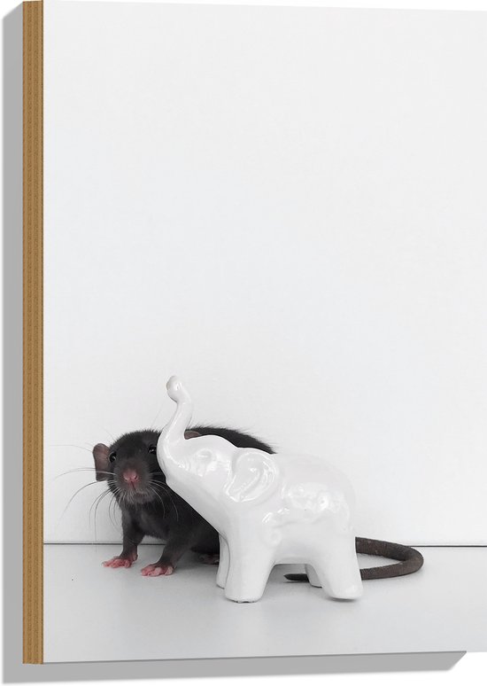 Hout - Grijze Muis bij Miniatuur Olifanten Beeldje tegen Witte Muur ...