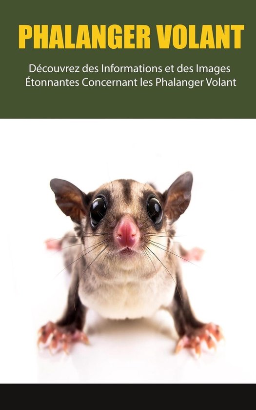 Phalanger Volant: Découvrez des Informations et des Images Étonnantes ...