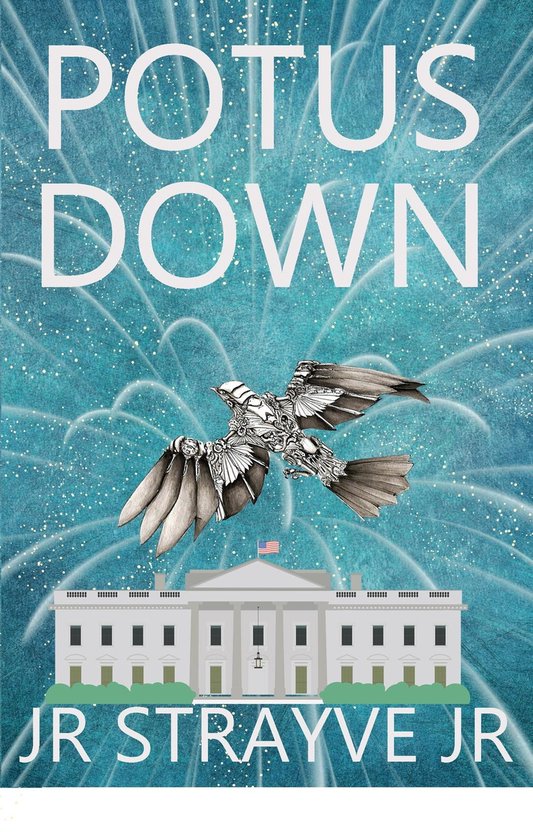 POTUS DOWN (ebook), JR JR STRAYVE | 9781737124368 | Boeken | bol