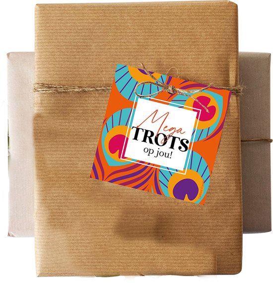 Set 5 kadokaartjes klein – gefeliciteerd - diploma - geslaagd - topper ...