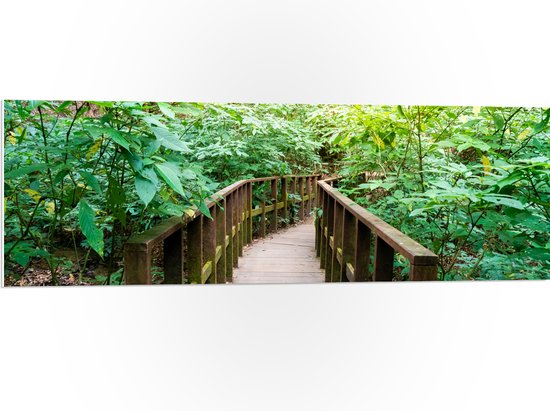 PVC Schuimplaat- Houten Bruggetje door de Planten in het Bos - 120x40 ...