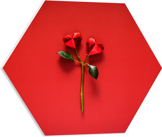 PVC Schuimplaat Hexagon - Gevouwen Origami Rode Rozen tegen Rode ...