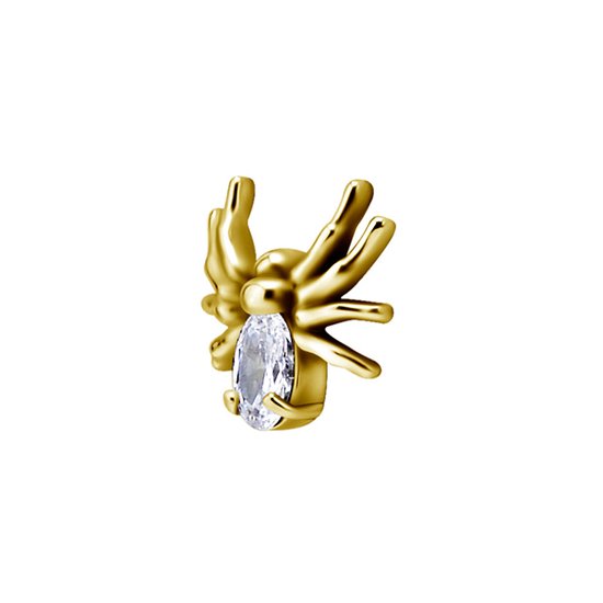 Oor Piercing - Premium Zirconia Spin | bol