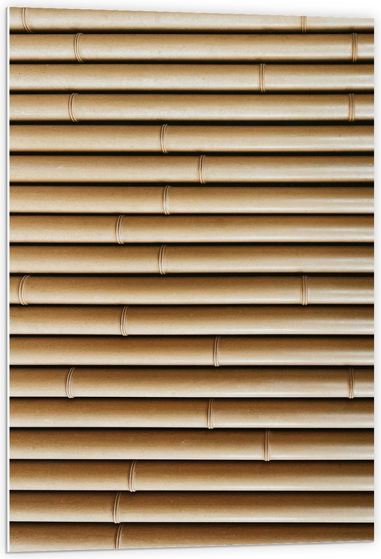 PVC Schuimplaat- Bruine Bamboe Stoken aan Elkaar op een Rijtje - 60x90 ...