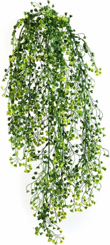 Everplant Kunst Hangplant Baby Varen 70 x 5 - Kunstplanten ... Everplant Kunst Hangplant Baby Varen 70 x 5 - Kunstplanten ...