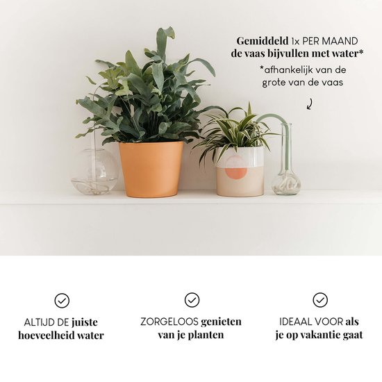 Re-Plant’it Waterbrug - Automatisch Watergeefsysteem - Waterdruppelaar ...