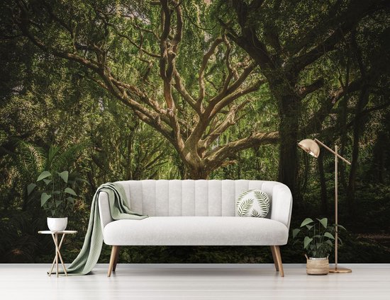 Fotobehang - Vlies Behang - Boom in het Bos - 254 x 184 cm | bol.com