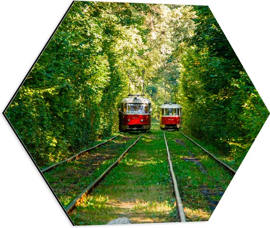 Dibond Hexagon - Twee Rode Trams op Tramrails door Groenrijk Bos ...