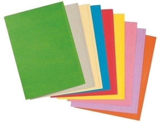 100x Esselte Inlegmap Assorti | bol