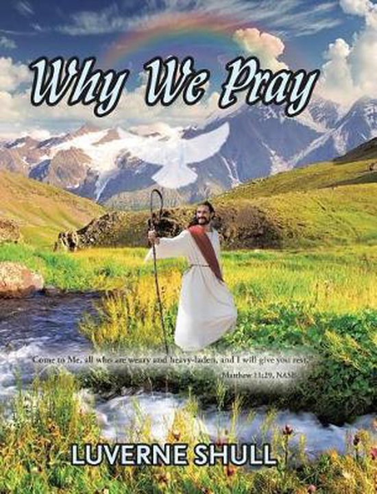Why We Pray | 9781643002033 | Luverne Shull | Boeken | bol.com