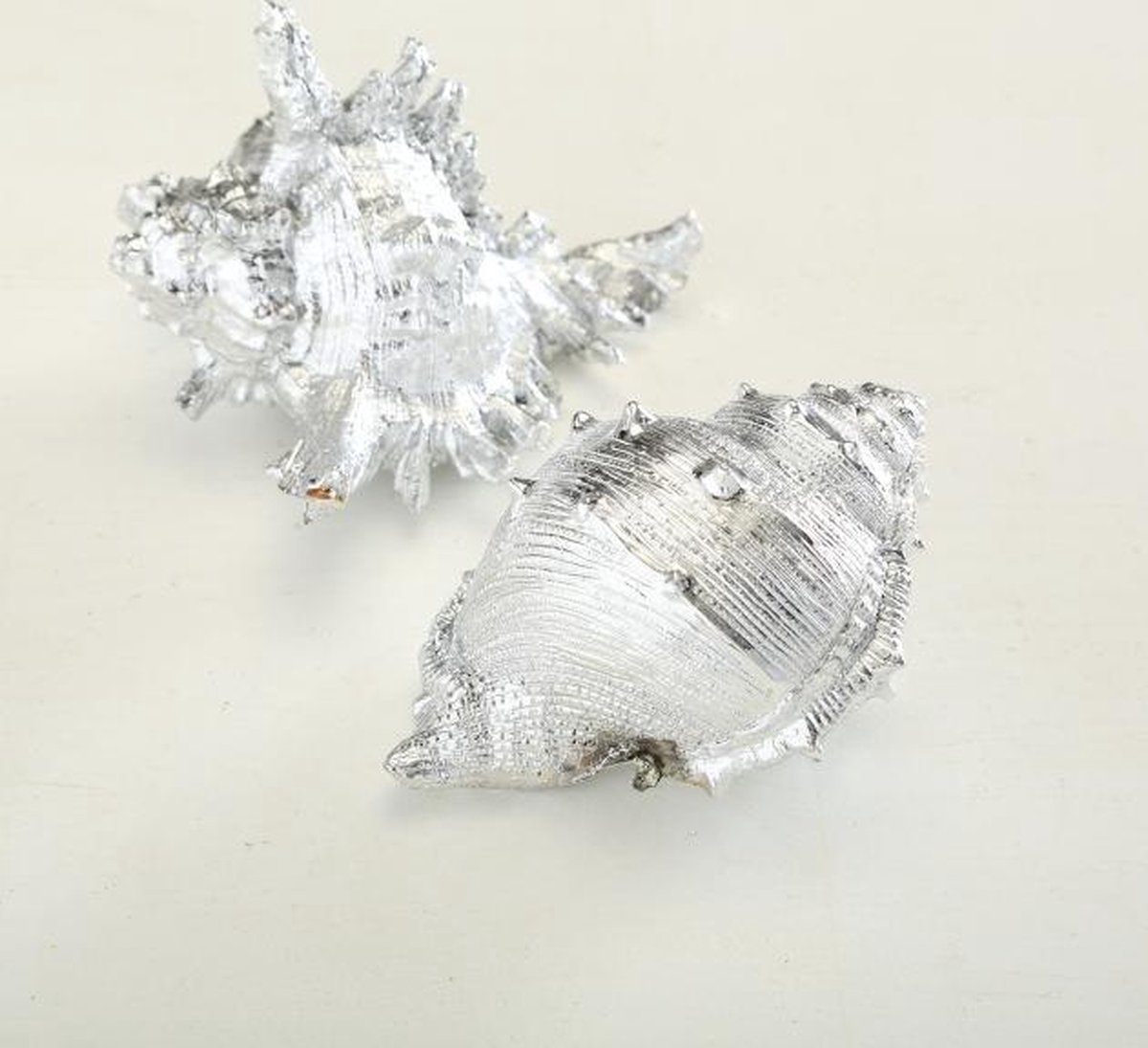 Schelp - Zeefruit - Decoratie - 2 set - zilver - 14 cm | bol.com