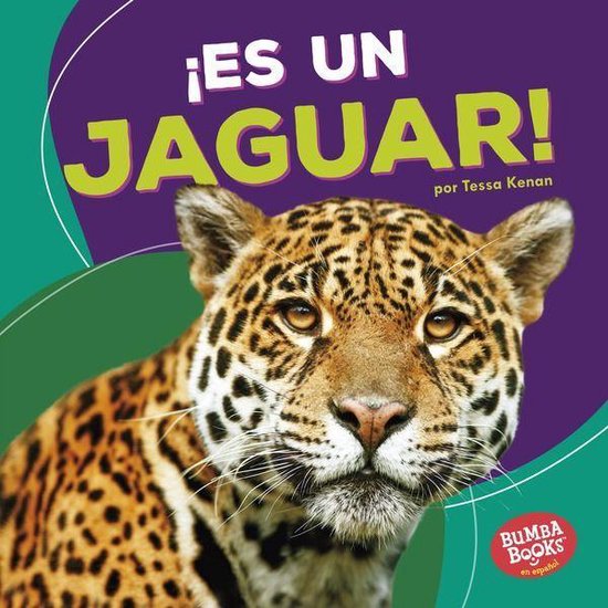 Bumba Books ® en español — Animales de la selva tropical (Rain Forest ...