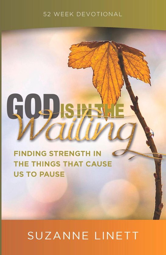 God Is In The Waiting (ebook), Suzanne Linett | 9781732637788 | Boeken ...